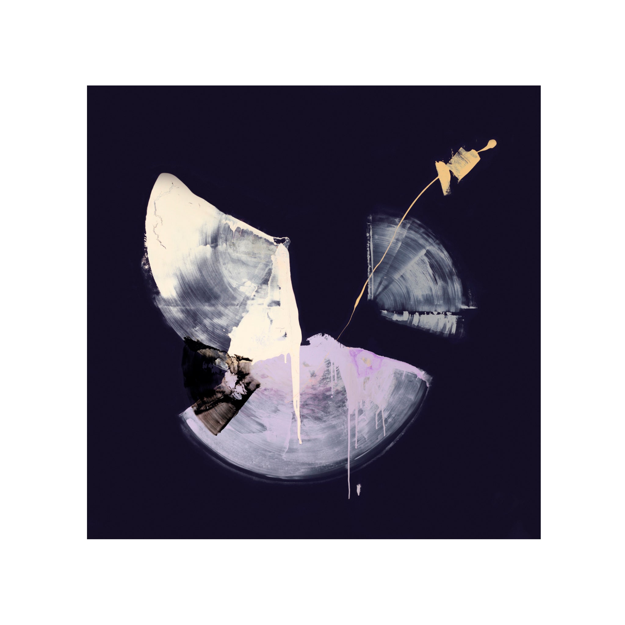 Broken Shell | Art – District A Design